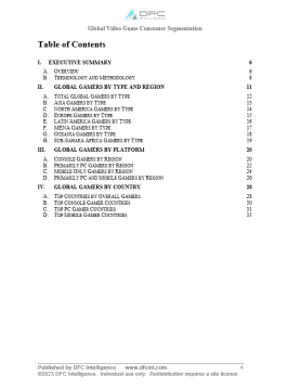 Global Video Game Consumer: Market Overview - DFC Intelligence